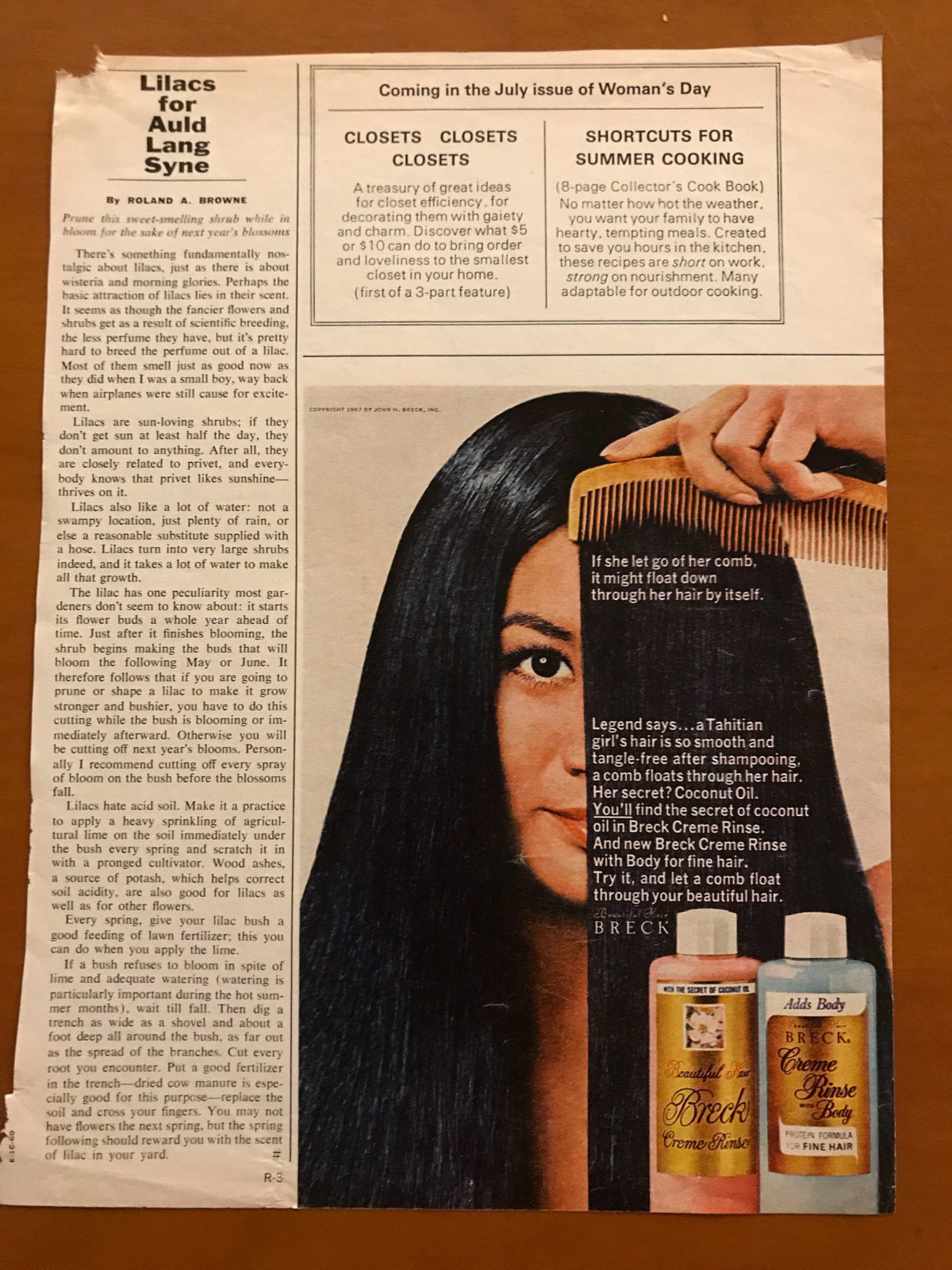 Breck Creme Rinse/Breck Girl Hall of Fame – Virginia Wing